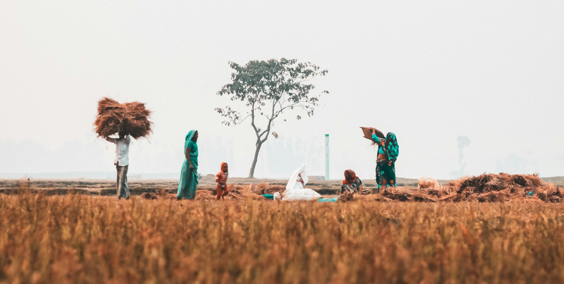 Women: The key to food security – between sensational headline and effective solution - Polemics