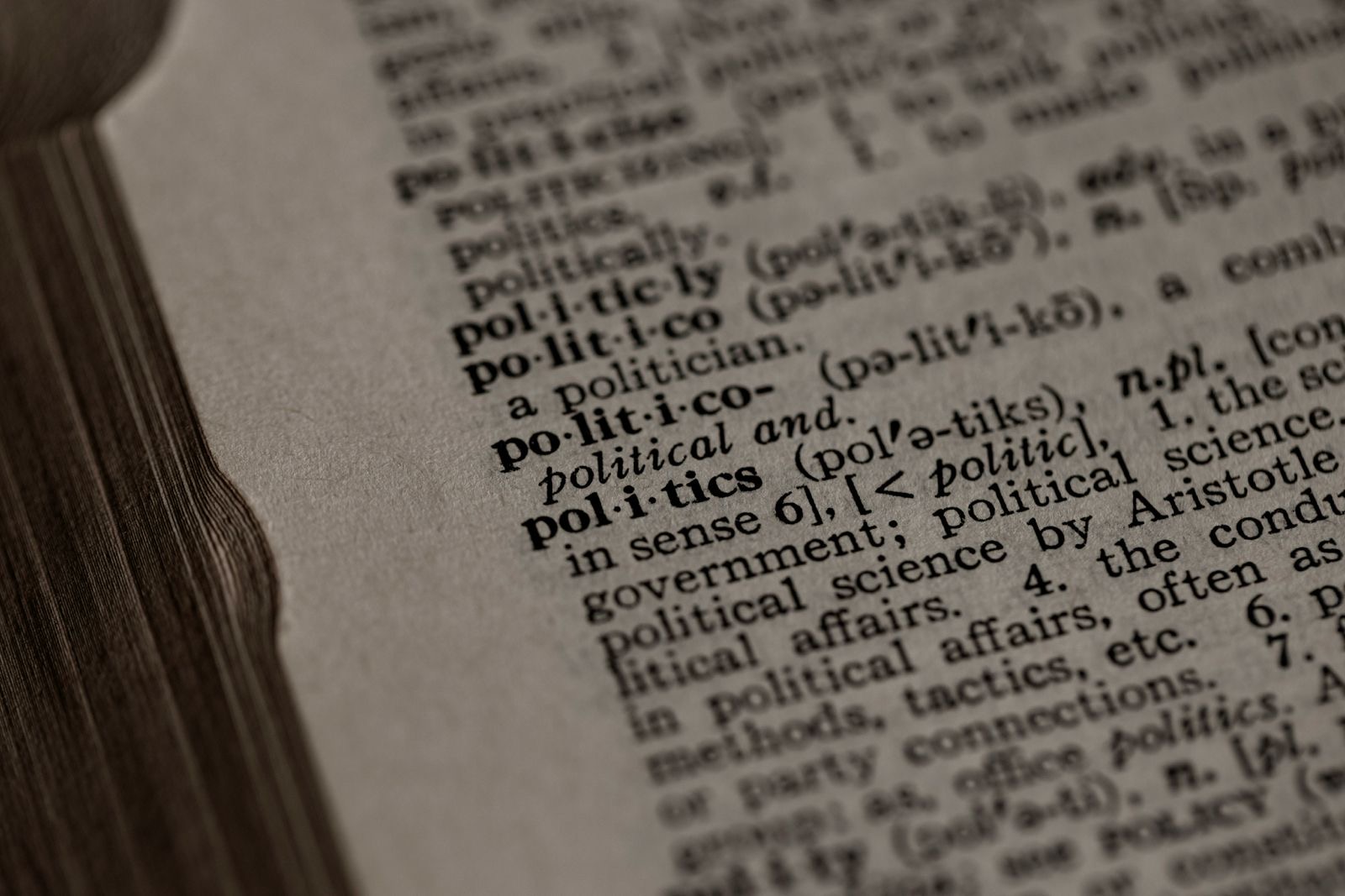 The Use of Language in Politics - Polemics